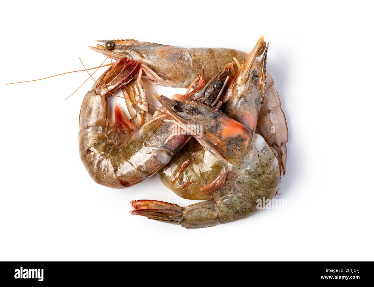Shrimp raw shellfish seafood hi-res stock photography and images - Alamy