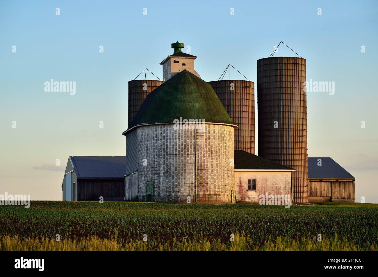 Maple Park, Illinois, USA. An oval barn along with silos, sheds and an ...
