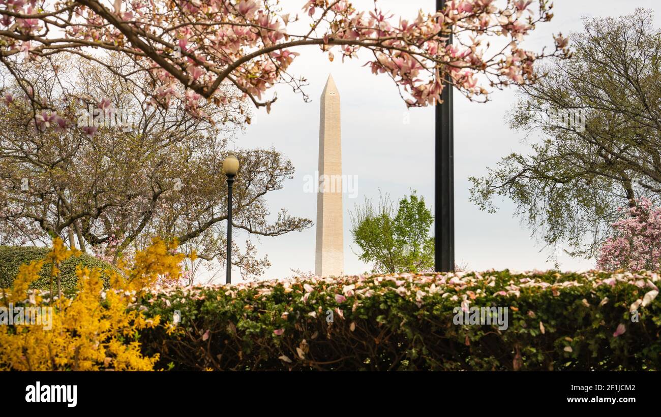 Washington dc spring attractions hi-res stock photography and images ...