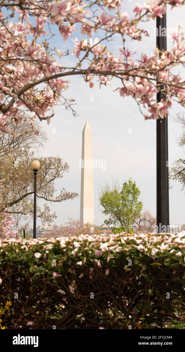 Washington dc skyline daytime hi-res stock photography and images - Alamy