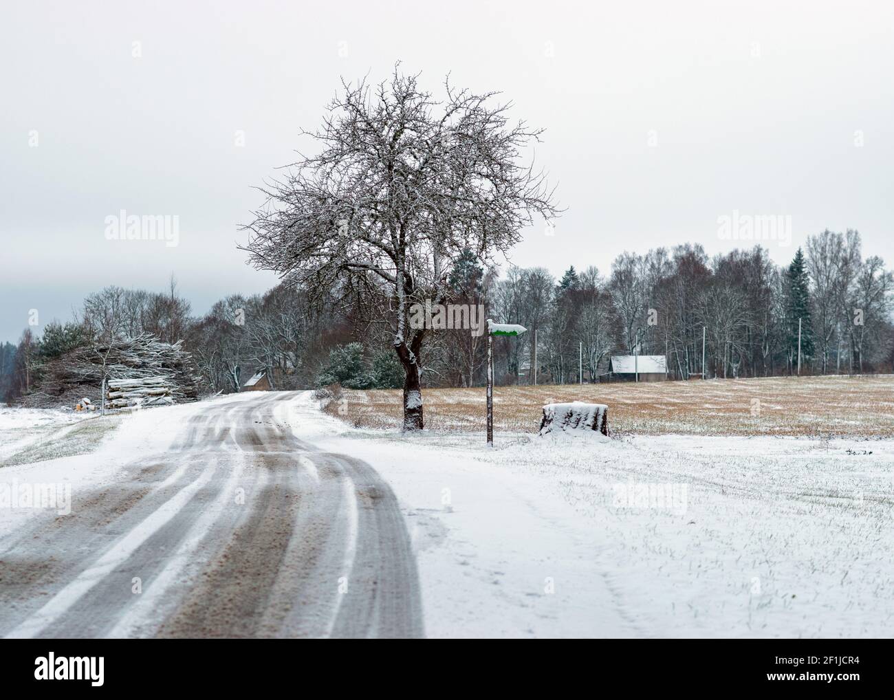 winter landscape with a snowy country road and snow-covered trees on ...