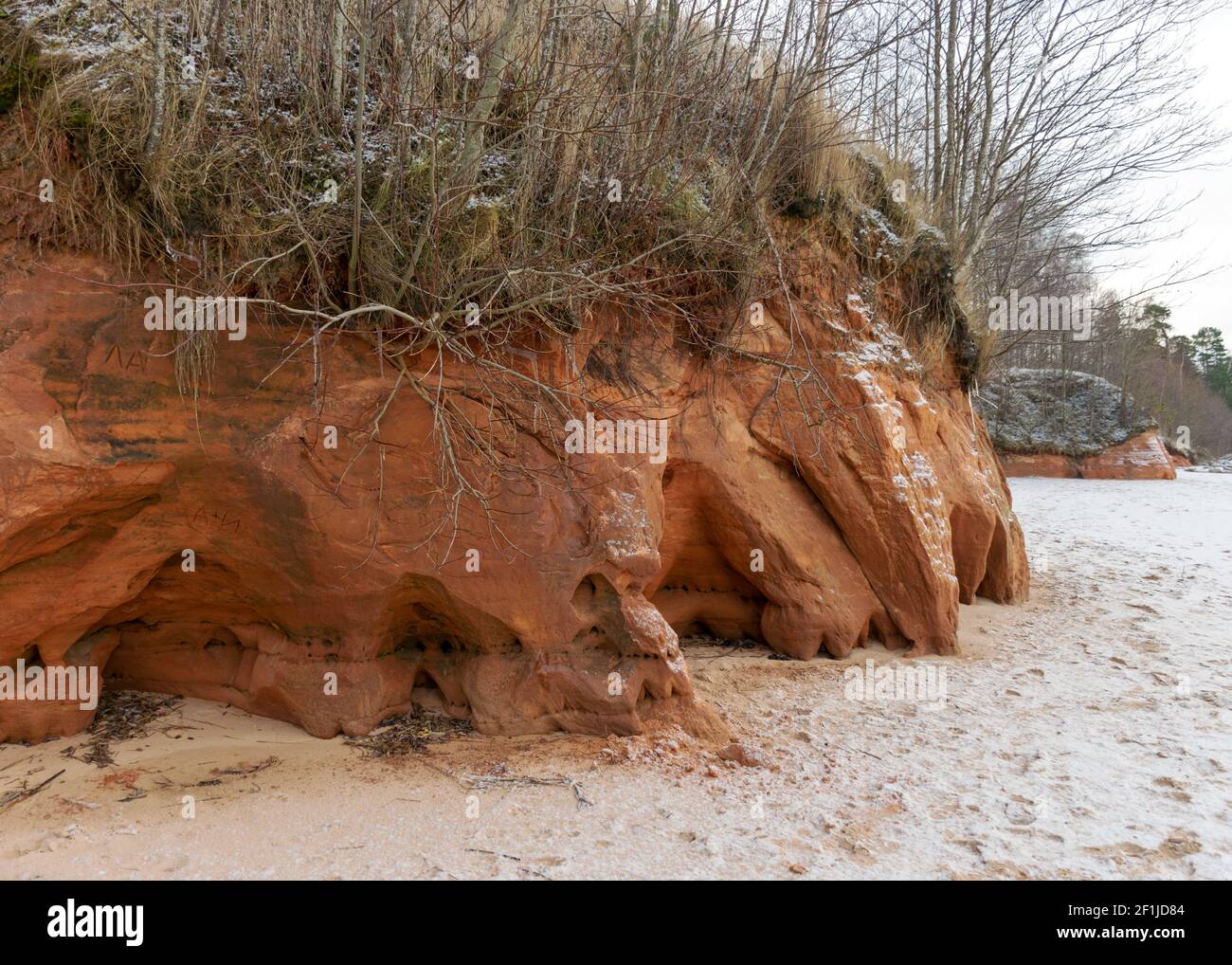 Sea cliff with Devonian sandstone outcrops. During the storm, niches ...