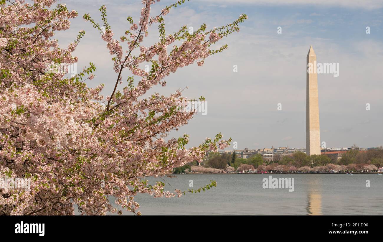 Washington dc skyline daytime hi-res stock photography and images - Alamy
