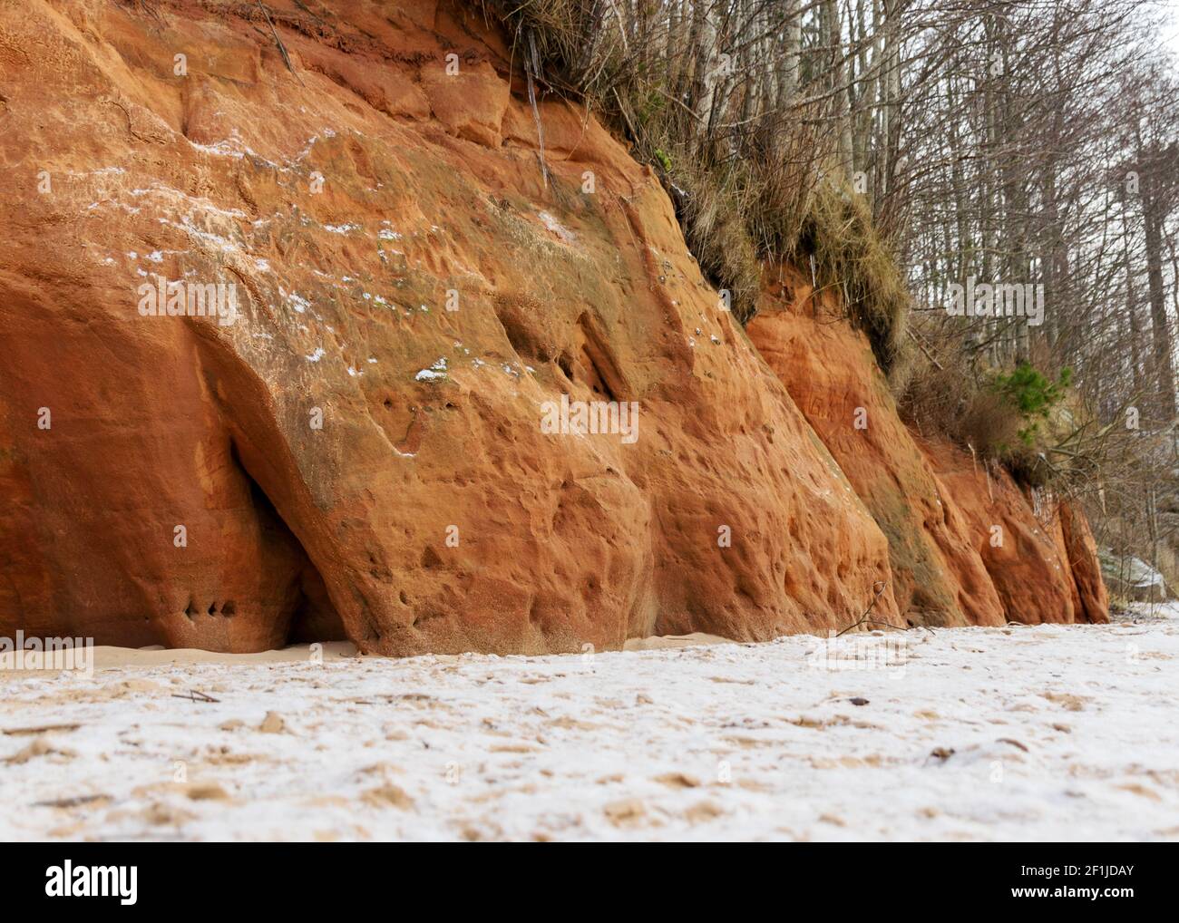 Sea cliff with Devonian sandstone outcrops. During the storm, niches ...