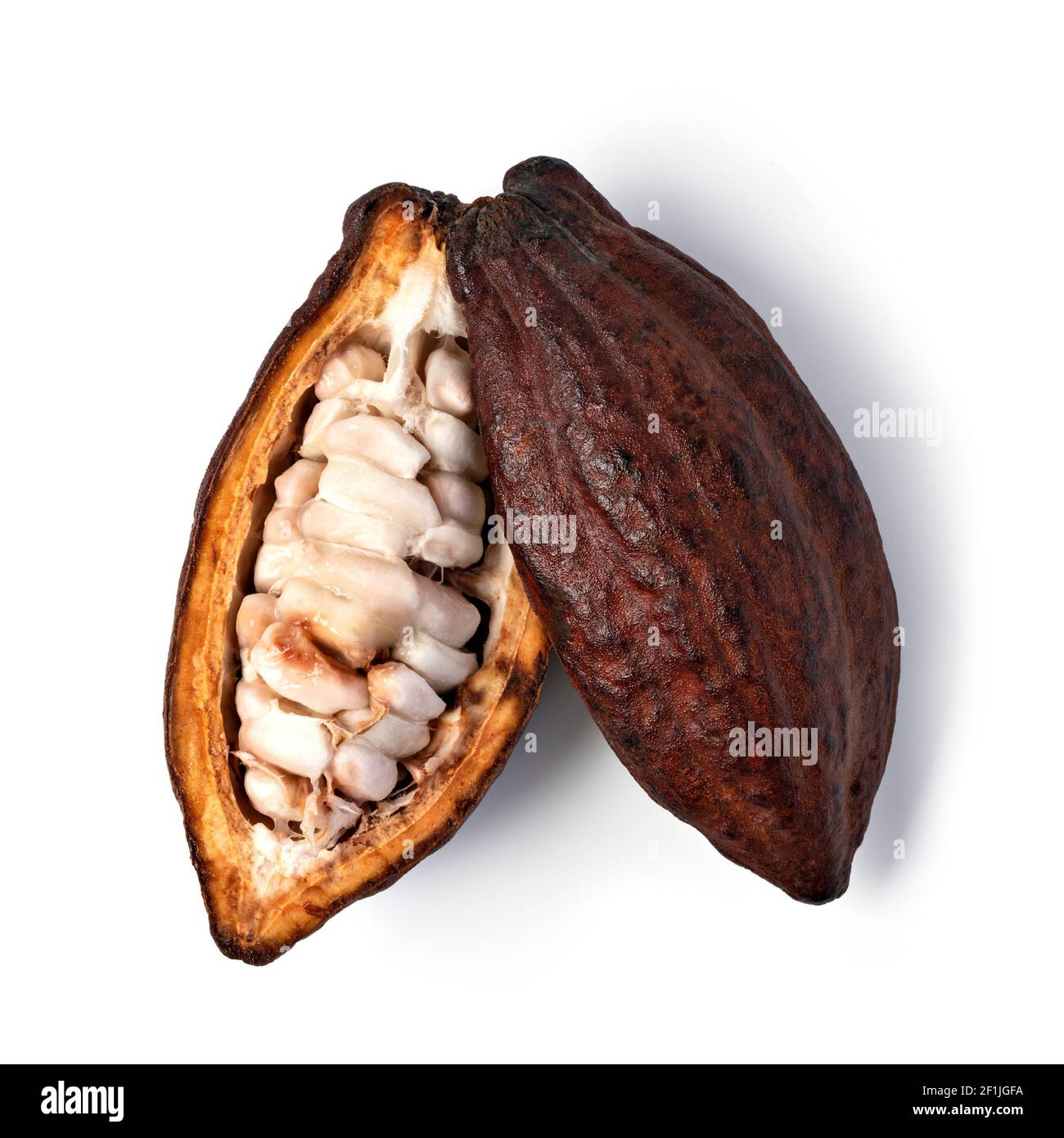 Cocoa pod on a white background Stock Photo - Alamy