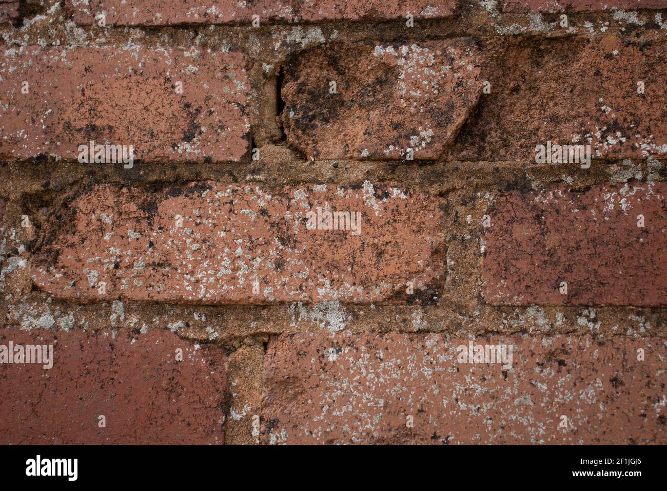 Broken stone pathway hi-res stock photography and images - Alamy
