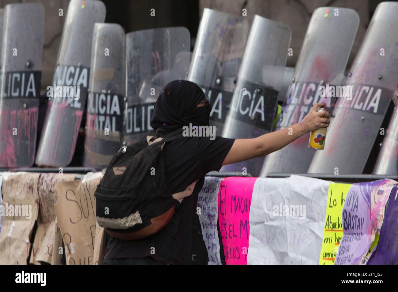 A women confront a police line during the riots caused for the protests ...