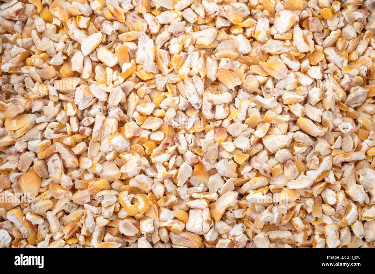 dried corn in front of white background Stock Photo - Alamy