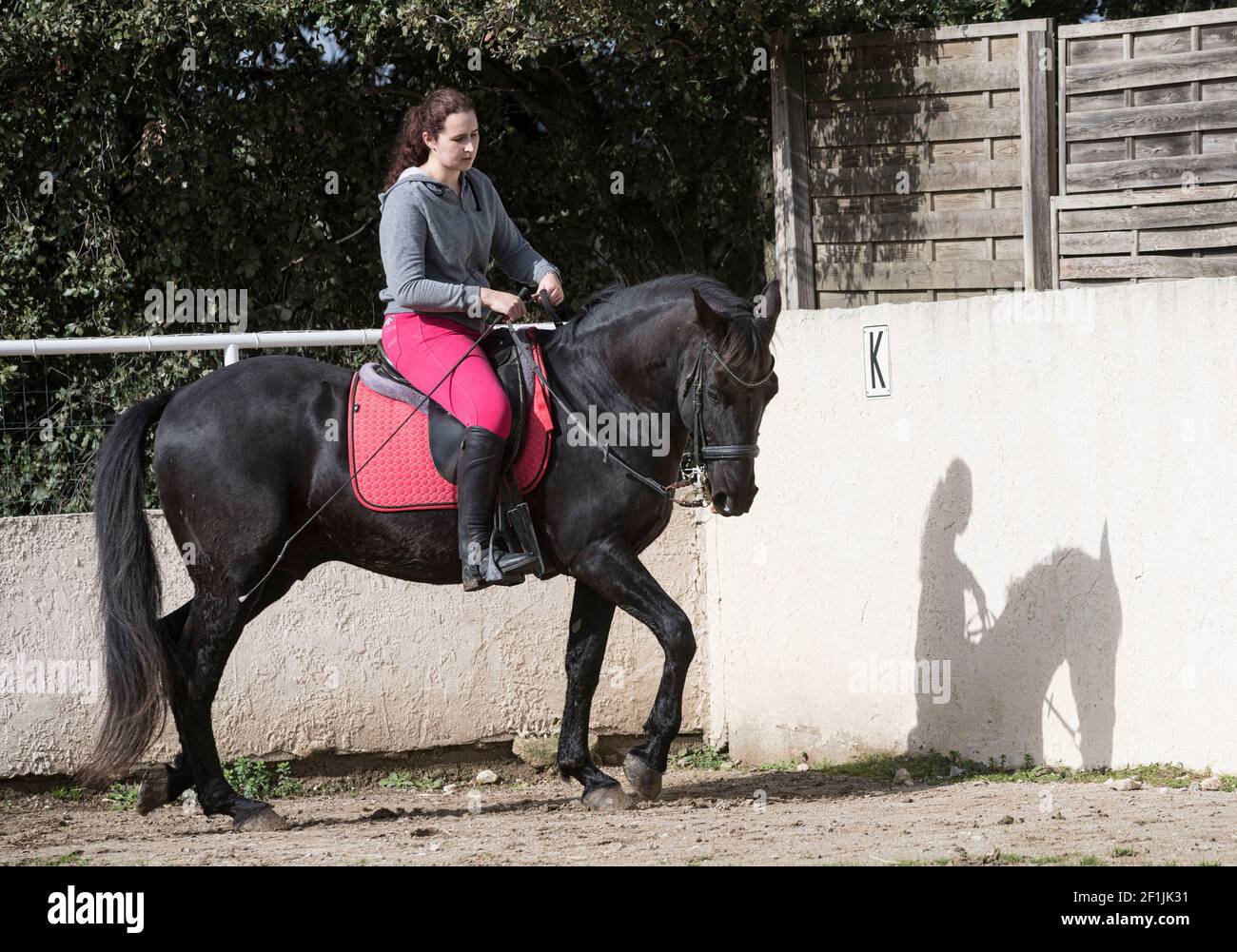 riding girl are training her black horse Stock Photo - Alamy