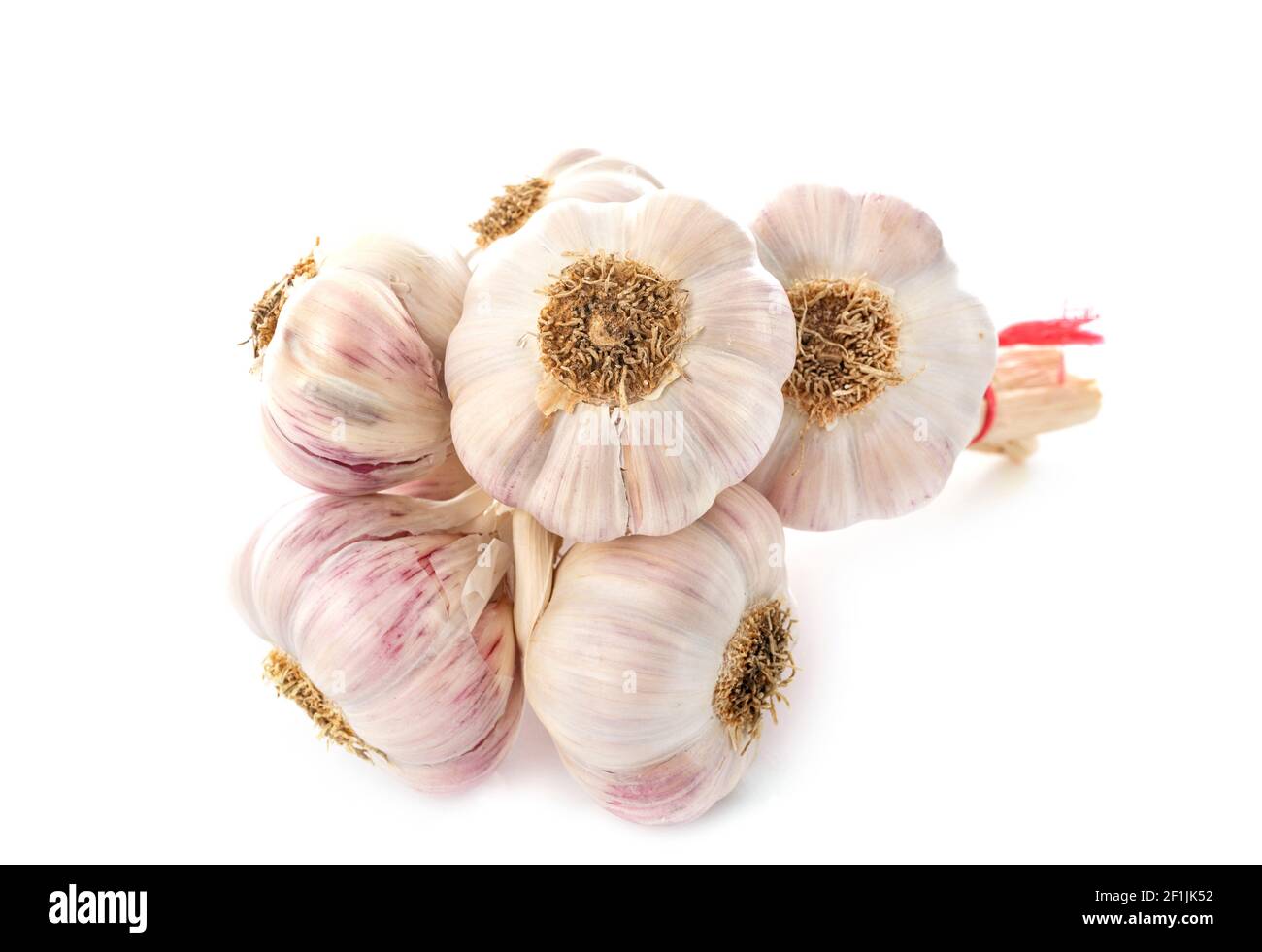 bunch of garlic in front of white background Stock Photo - Alamy