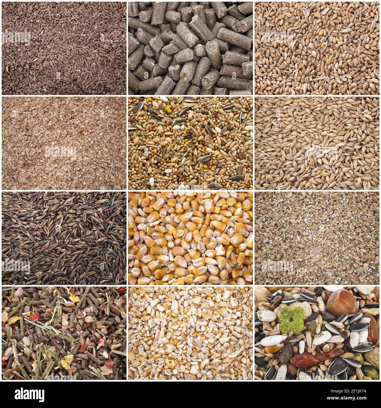 composite picture of cereals for animal food Stock Photo - Alamy