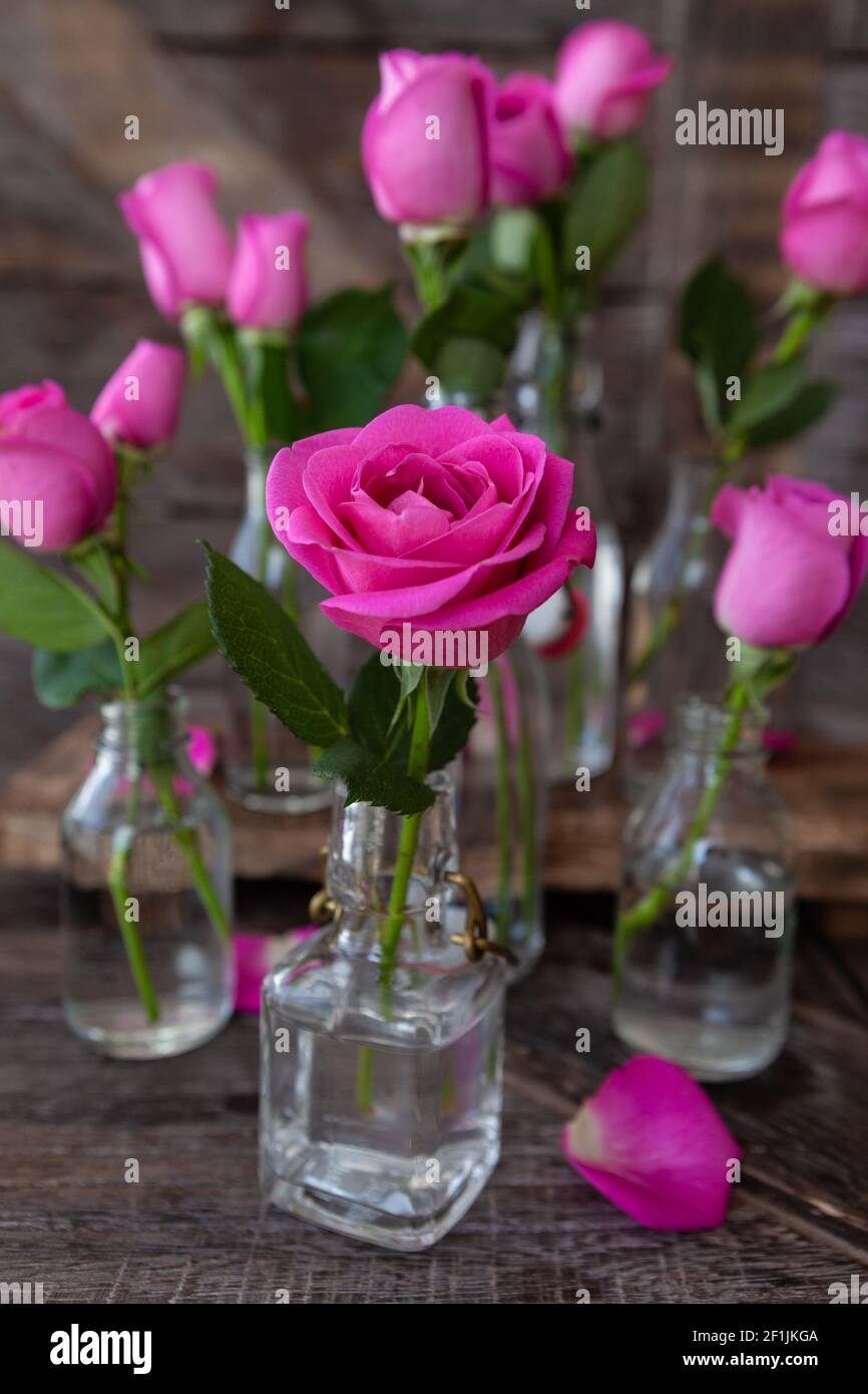 Pink roses in small bottles Stock Photo - Alamy
