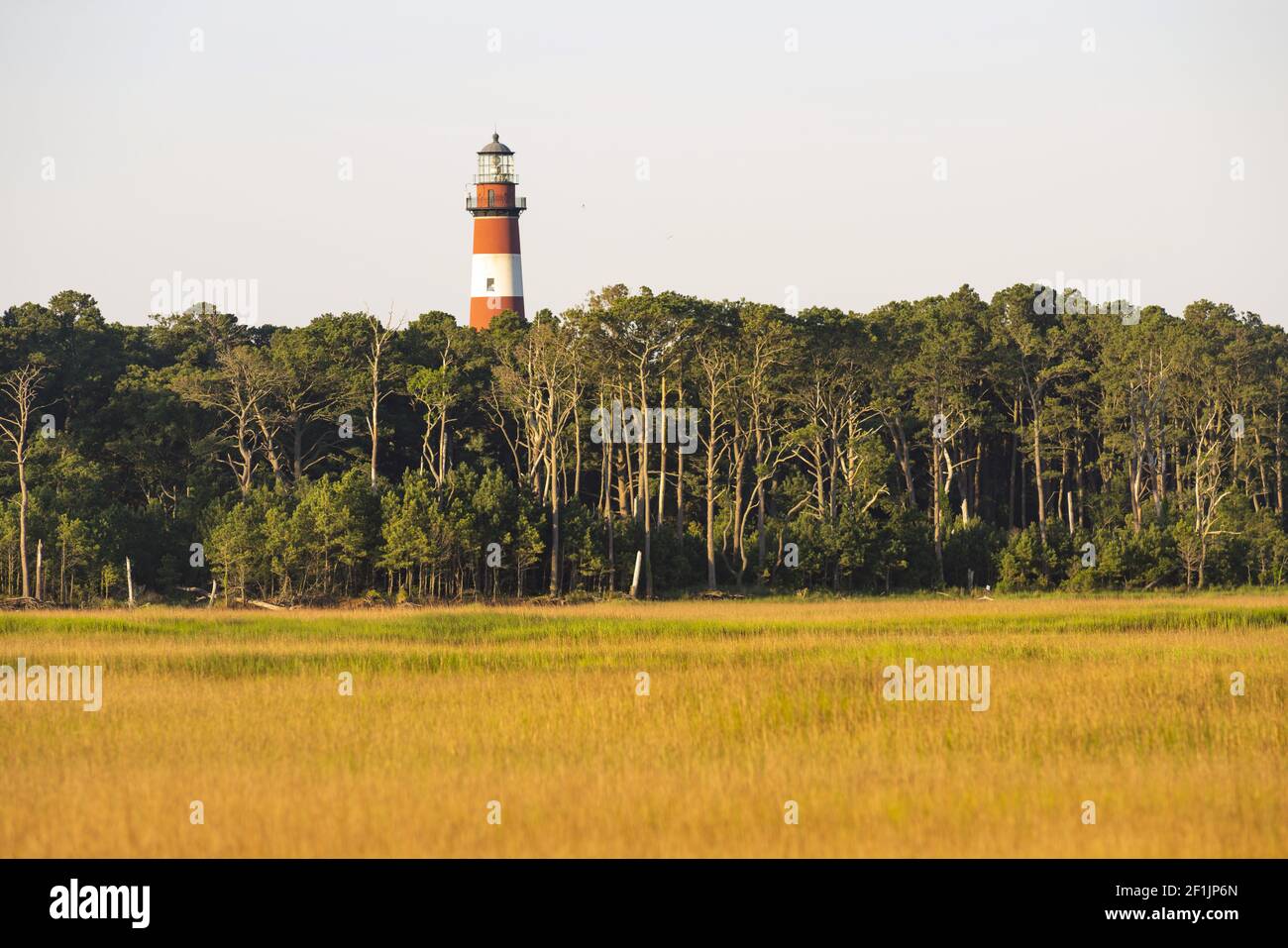 Assateague lighthouse hi-res stock photography and images - Alamy