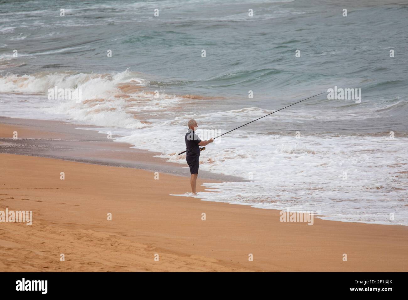 Australian fishes hi-res stock photography and images - Alamy