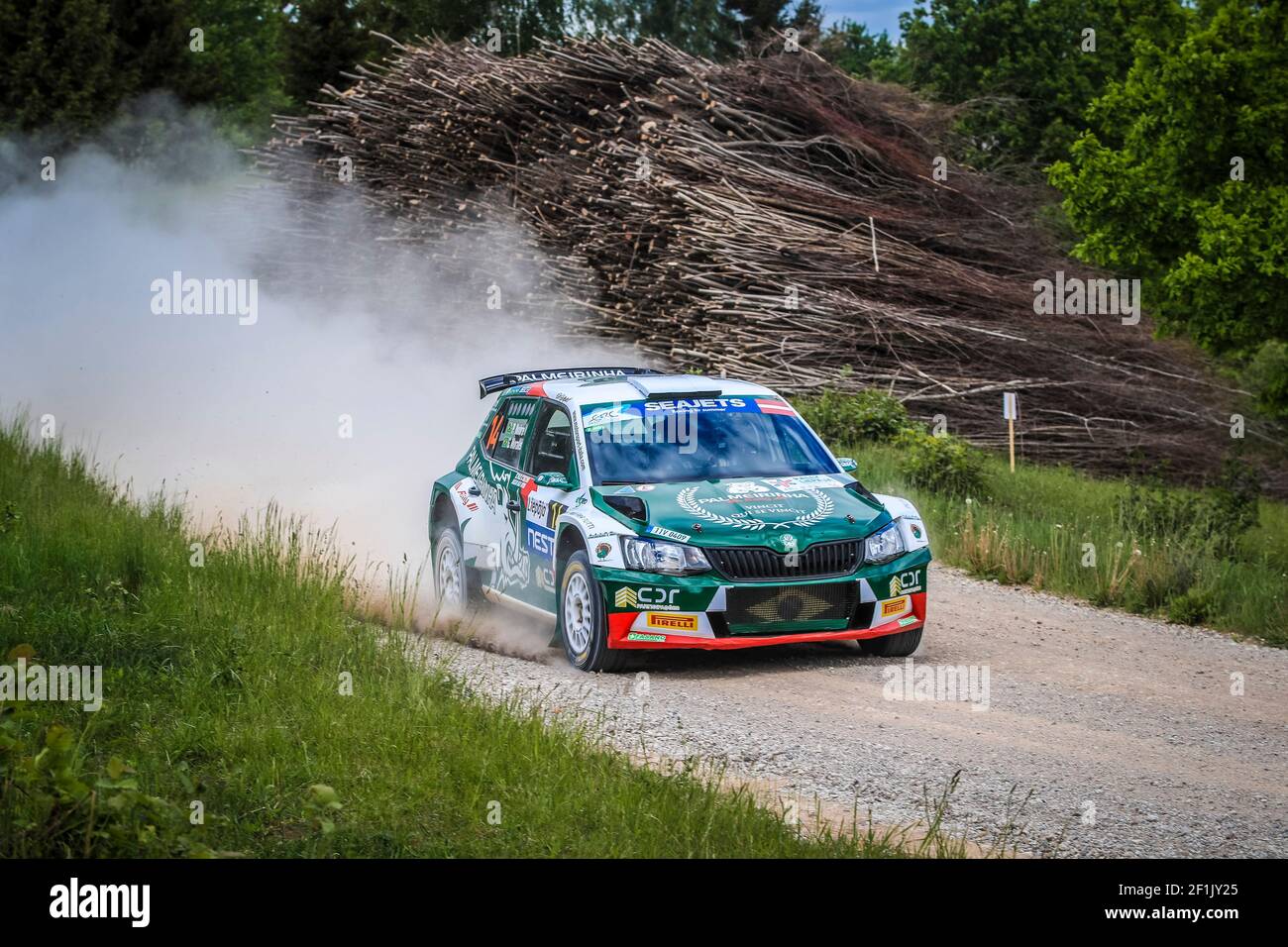 14 Paulo NOBRE, (BRA), Gabriel MORALES, (BRA), Skoda Fabia R5 ...