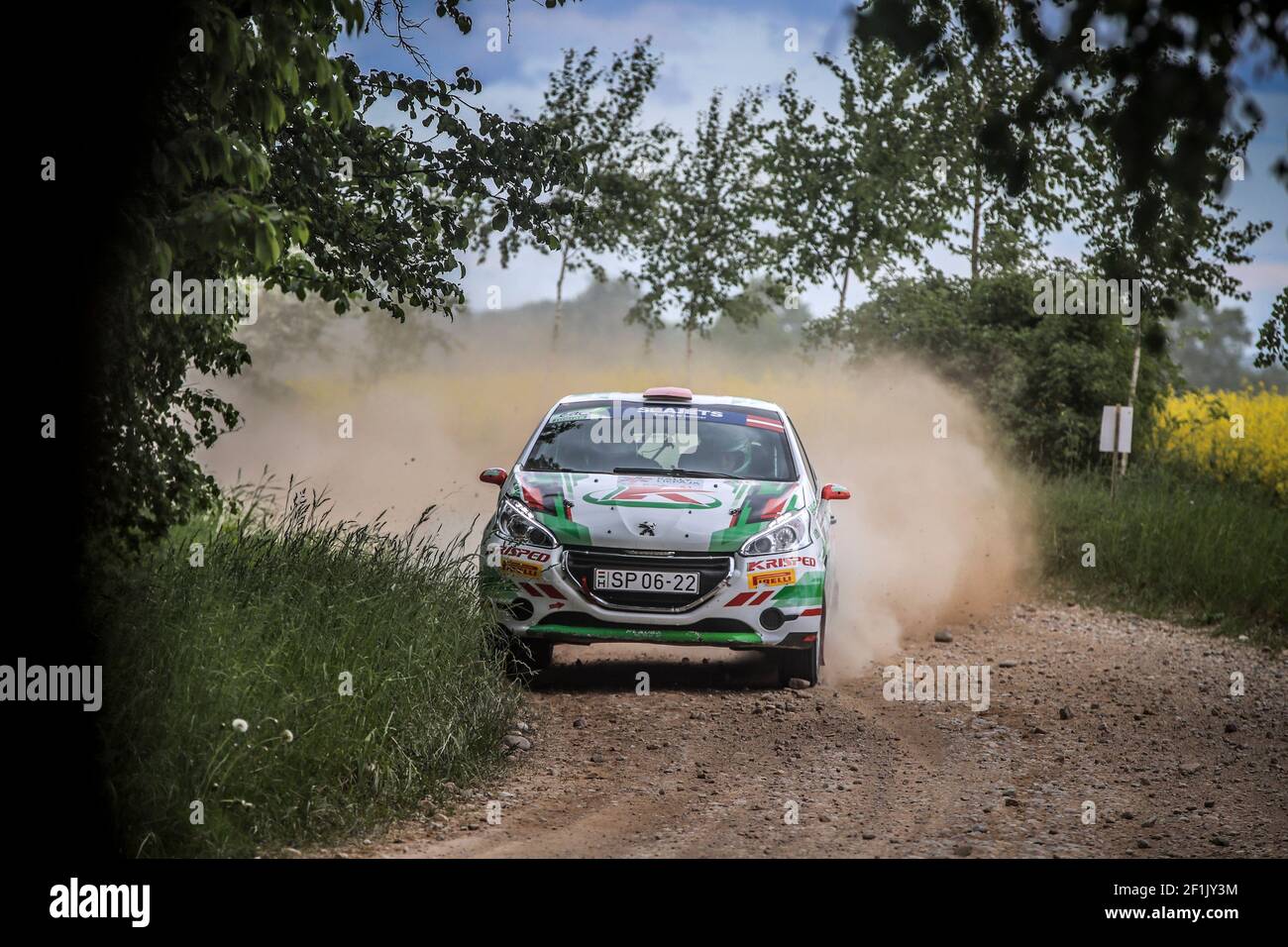 41 Kristof KLAUSZ, (HUN), Agnes FARNADI, (HUN), Peugeot 208 R2, KLAUS ...