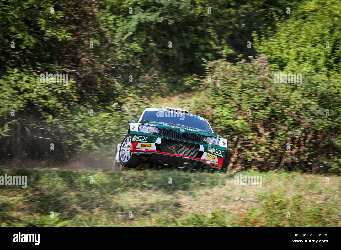 14 Paulo NOBRE (BRA), Gabriel MORALES (BRA), Skoda Fabia R5 ...