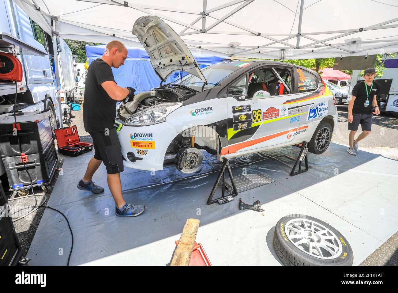 36 Roman SCHWEDT (DEU), Henry WICHURA (DEU), Peugeot 208 R2, TEAM ROMO ...