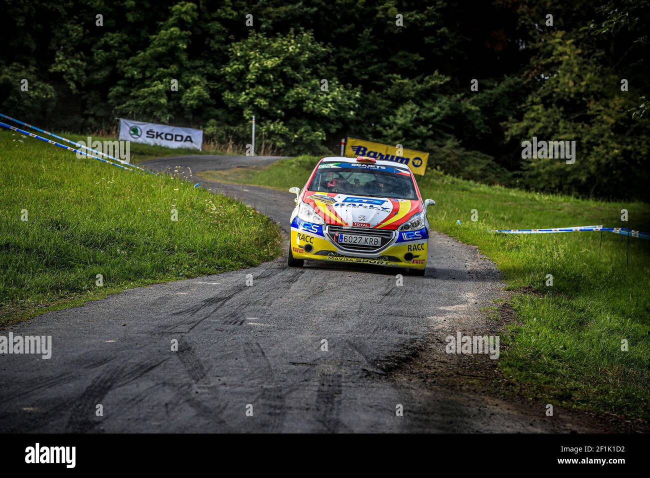 36 Efren LLARENA (ESP), Sara FERNANDEZ (ESP), Peugeot 208 R2, Rallye ...
