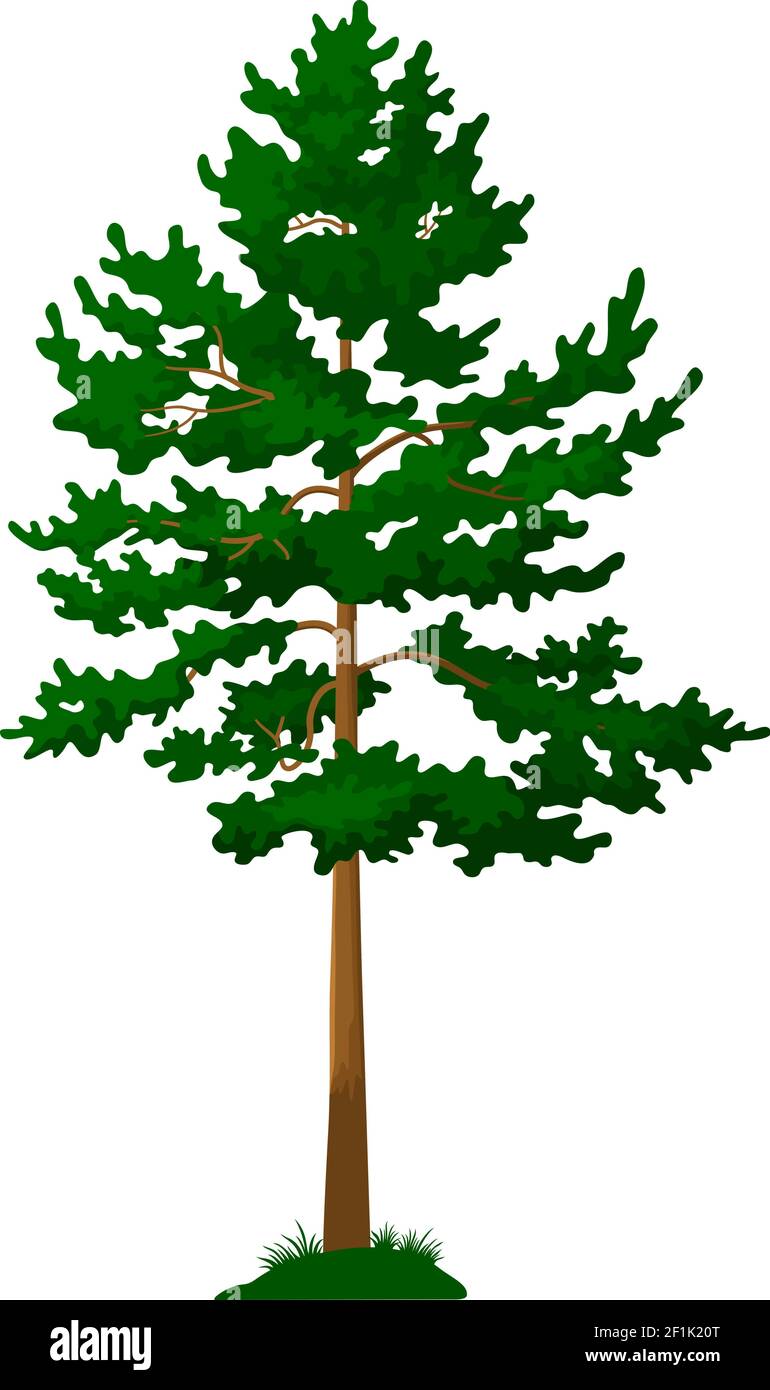 Cartoon green summer tree crown hi-res stock photography and images - Alamy