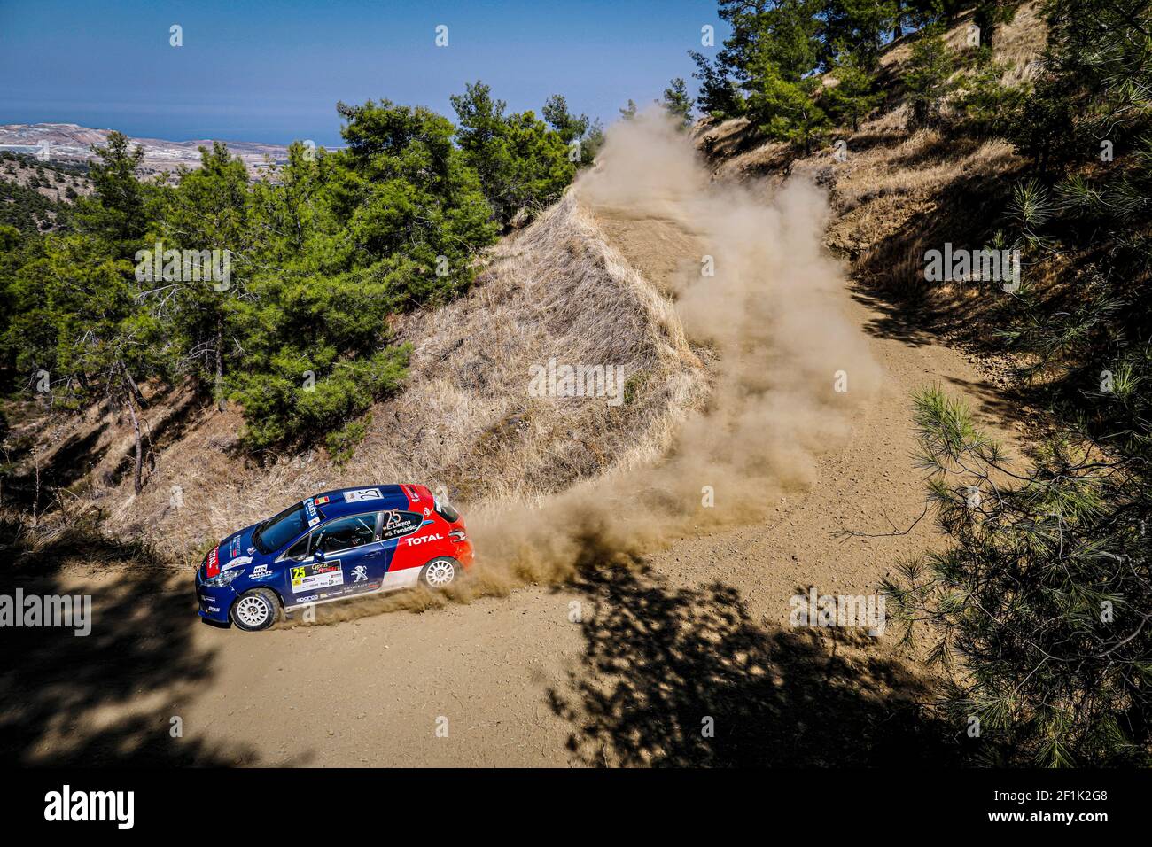 25 LLARENA Efren (ESP), FERNANDEZ Sara (ESP), Peugeot 208 R2, Rallye ...