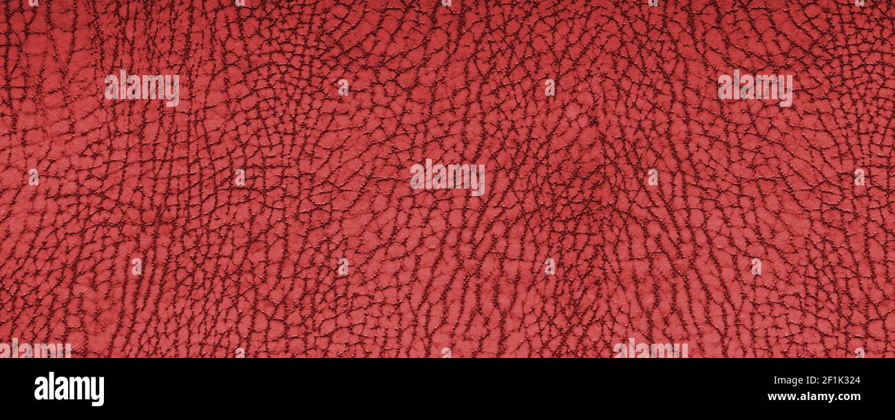 Clean red leather fullframe texture. High resolution. Empty red ...