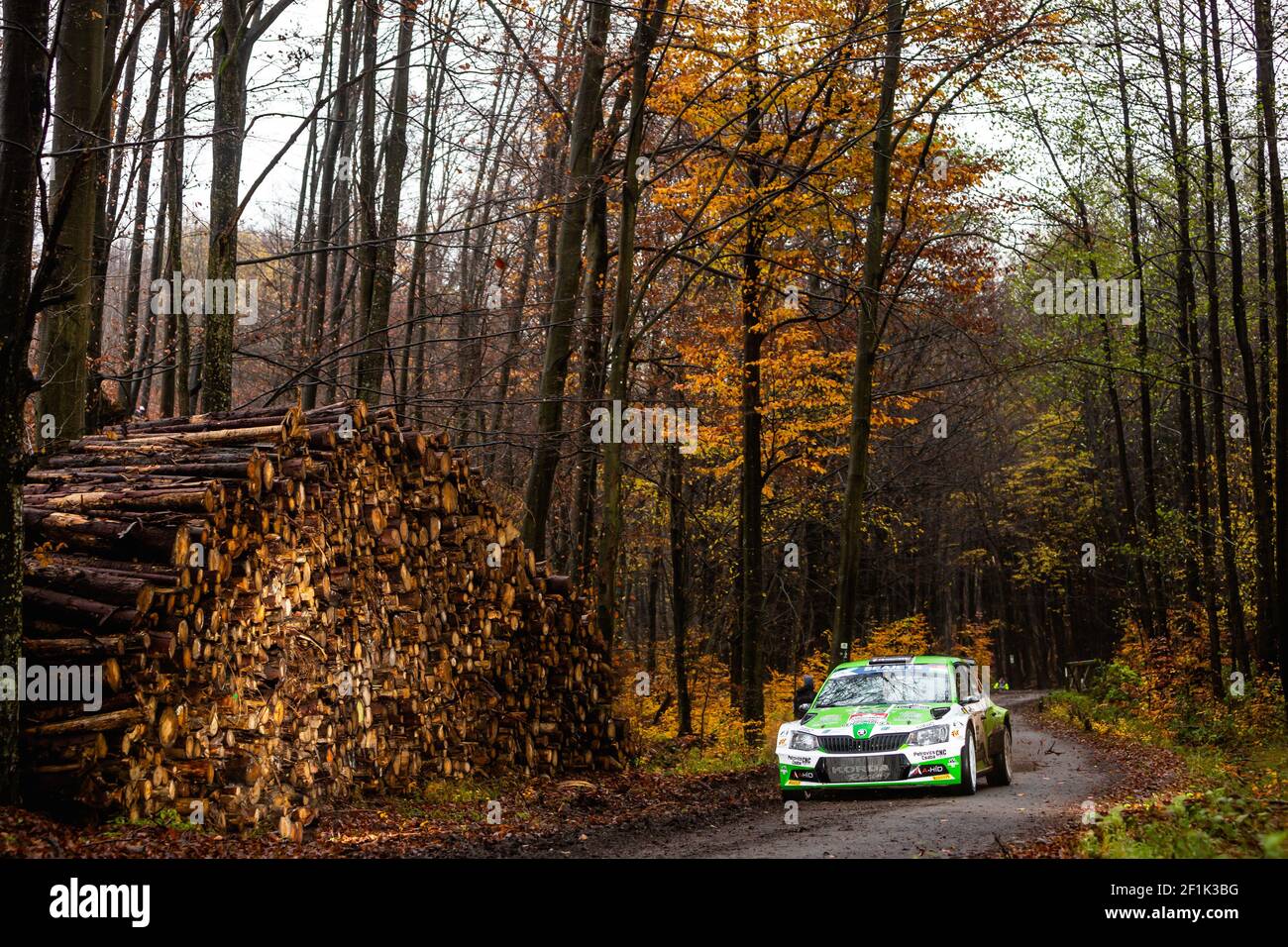 10 VINCZE Ferenc (hun), BACIGAL Igor (hun), Skoda Fabia R5, action ...