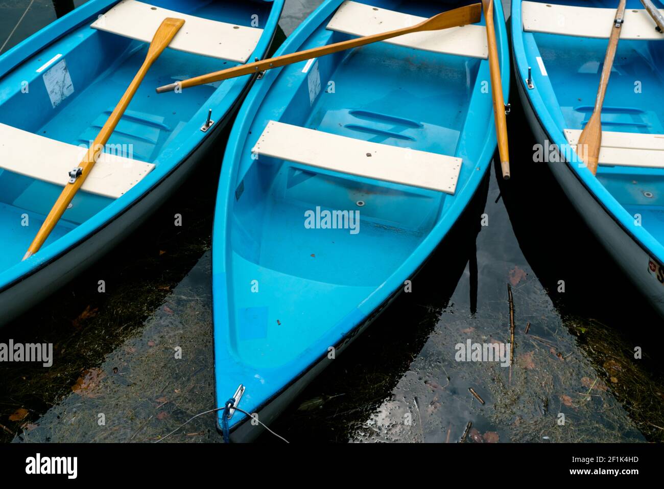 Bright blue and white rowboats in dark lake water Stock Photo - Alamy