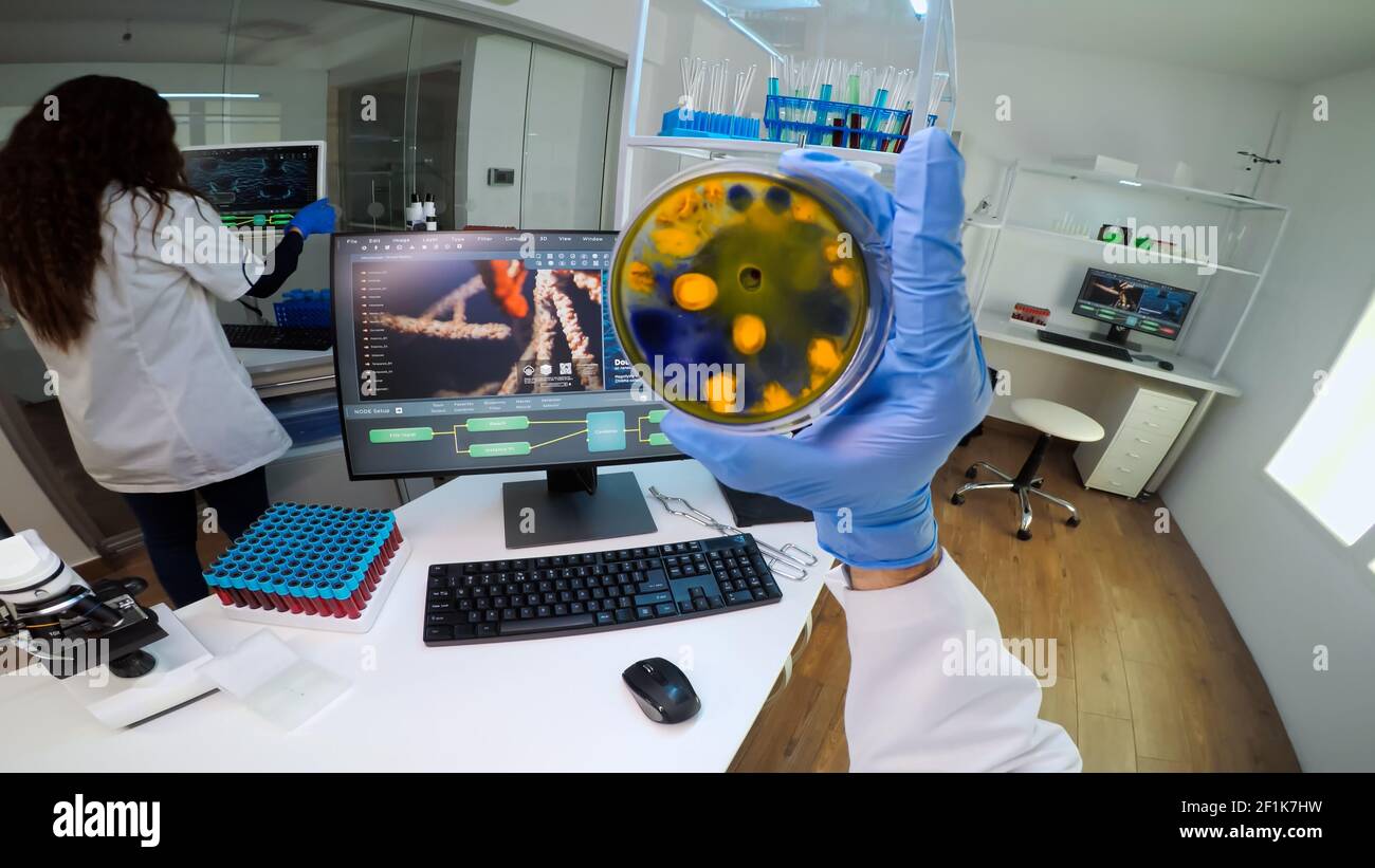 Pov doctor examining petri dish hi-res stock photography and images - Alamy
