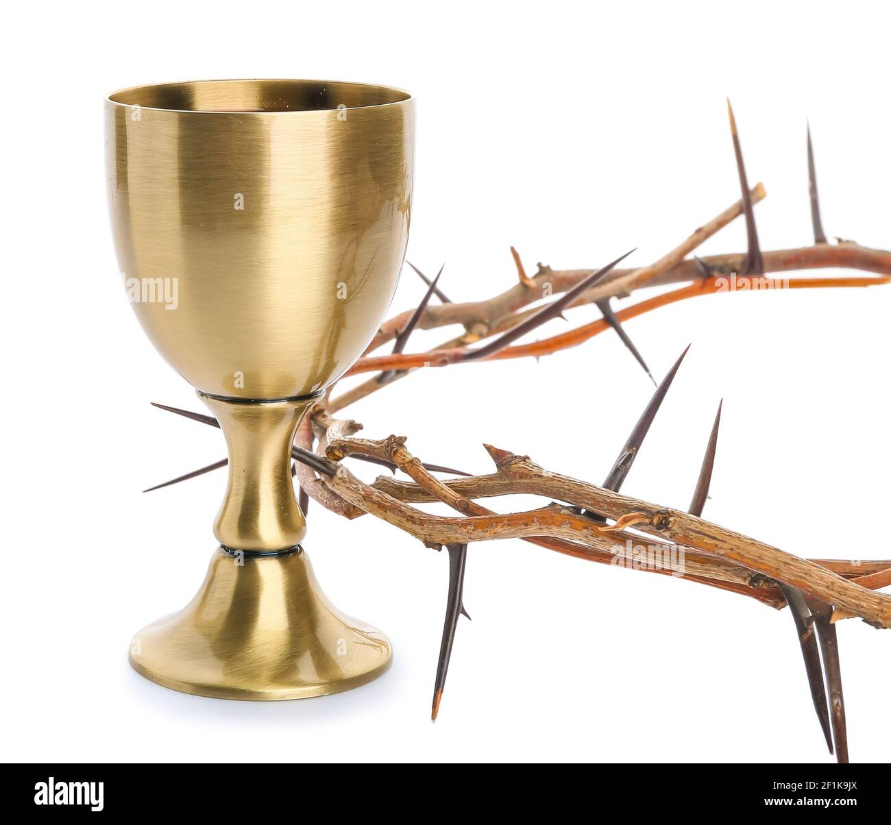 Thorns Chalice