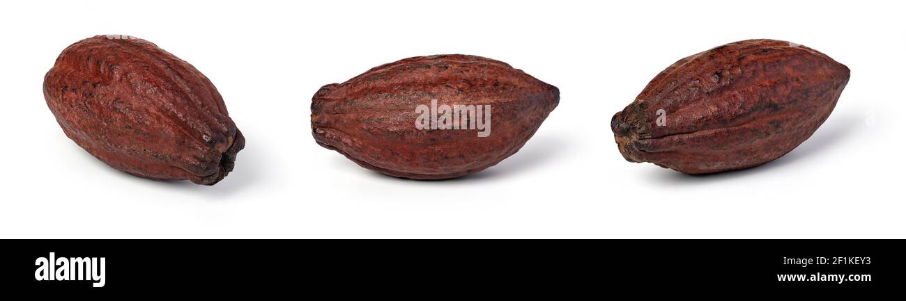Set of cocoa pod Stock Photo - Alamy