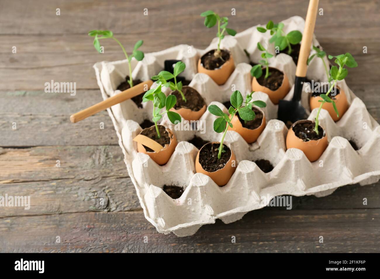 Cardboard box with seedlings and gardening tools on wooden table Stock ...