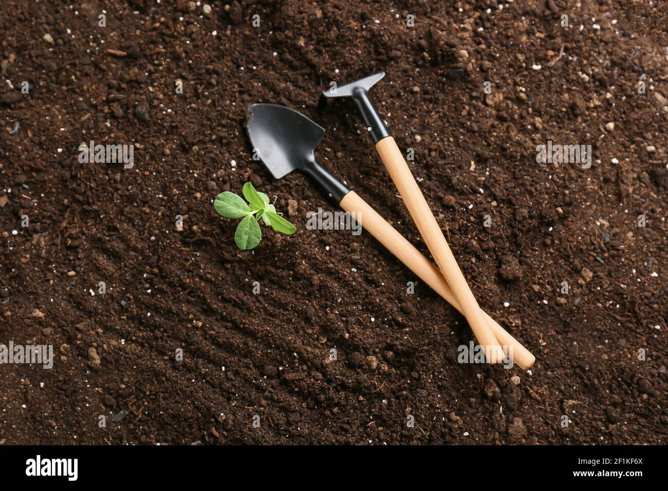 Gardening tools on soil with growing plant Stock Photo - Alamy
