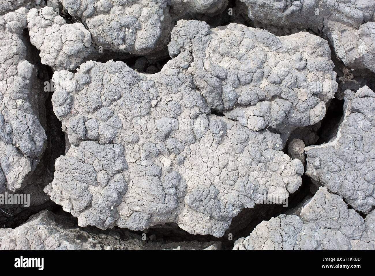 The texture of gray cracked earth, dried volcanic clay with cracks ...