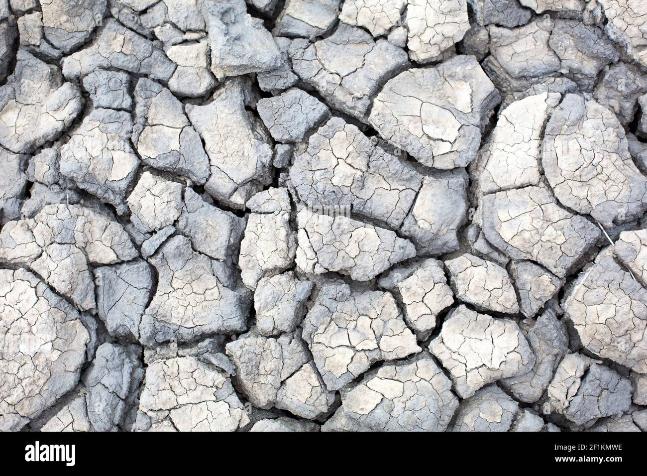 The texture of gray cracked earth, dried volcanic clay with cracks ...