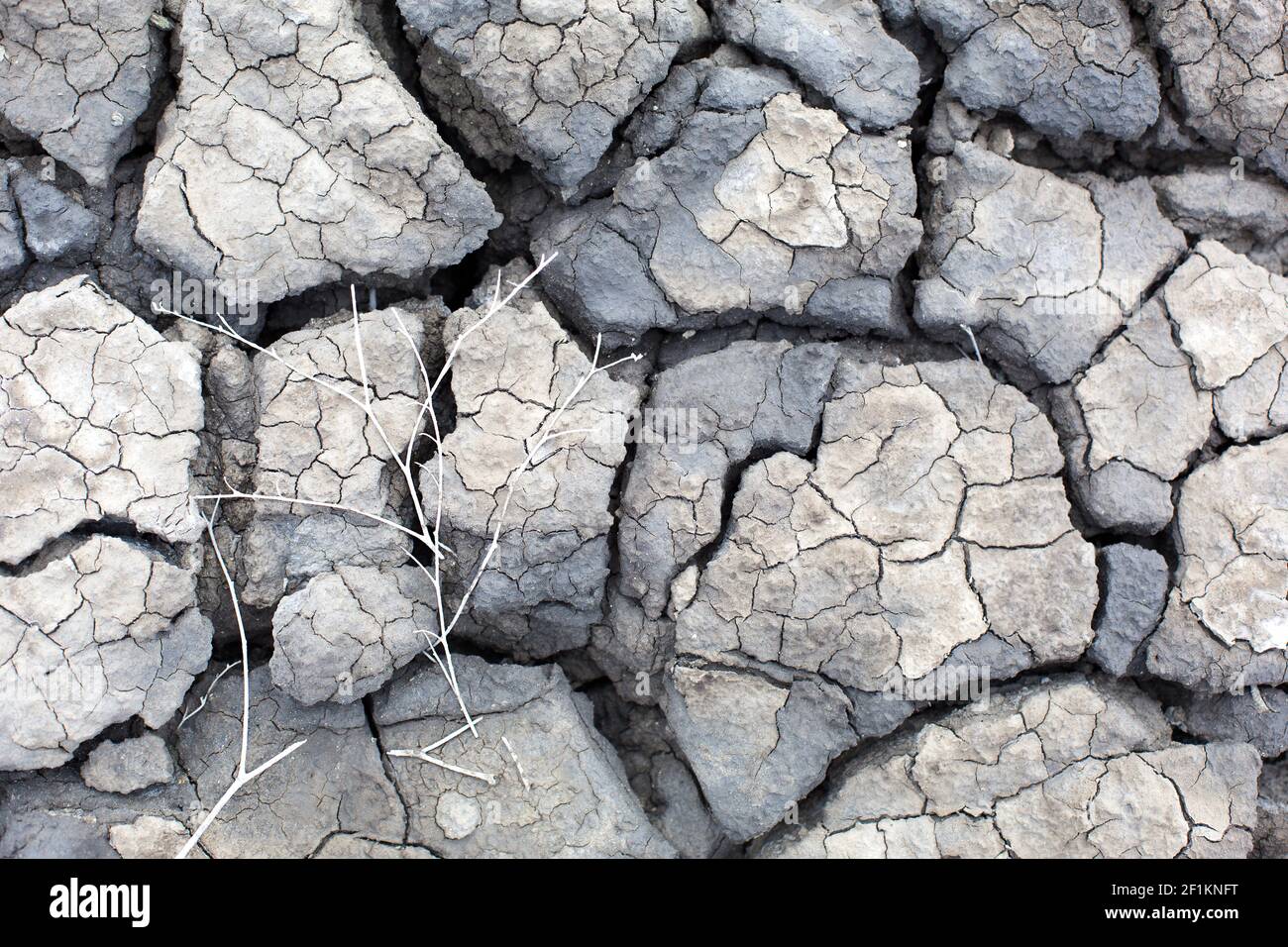 The texture of gray cracked earth, dried volcanic clay with cracks ...