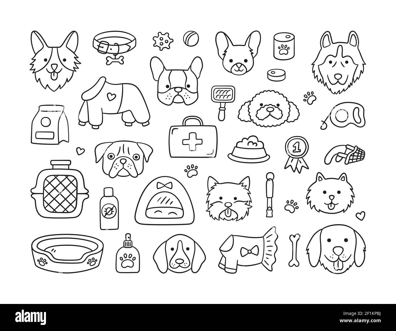 Set of heads of different breeds dogs and canine accessories. Collar ...