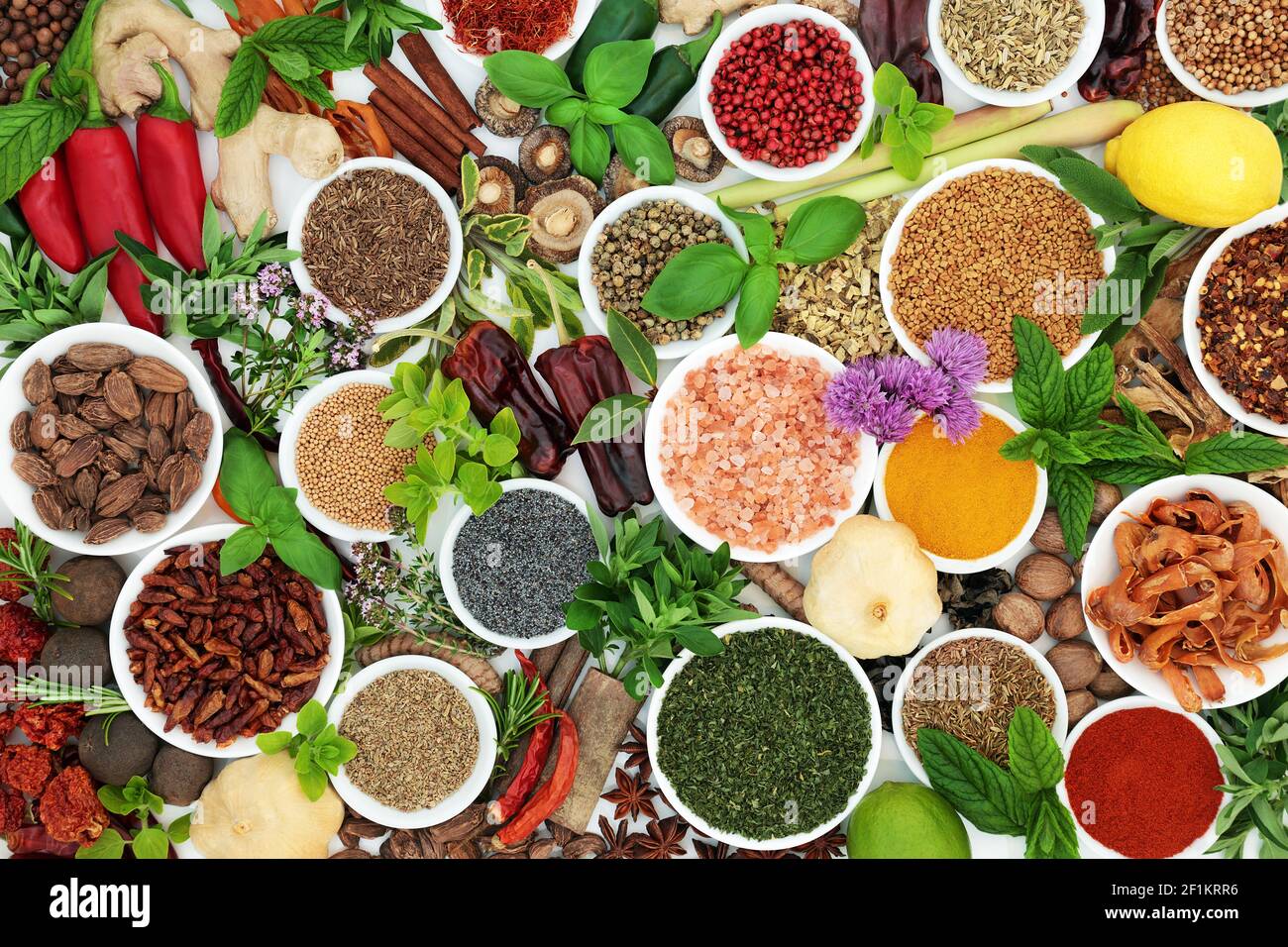 Large collection of herb and spice fresh and dried seasoning in ...