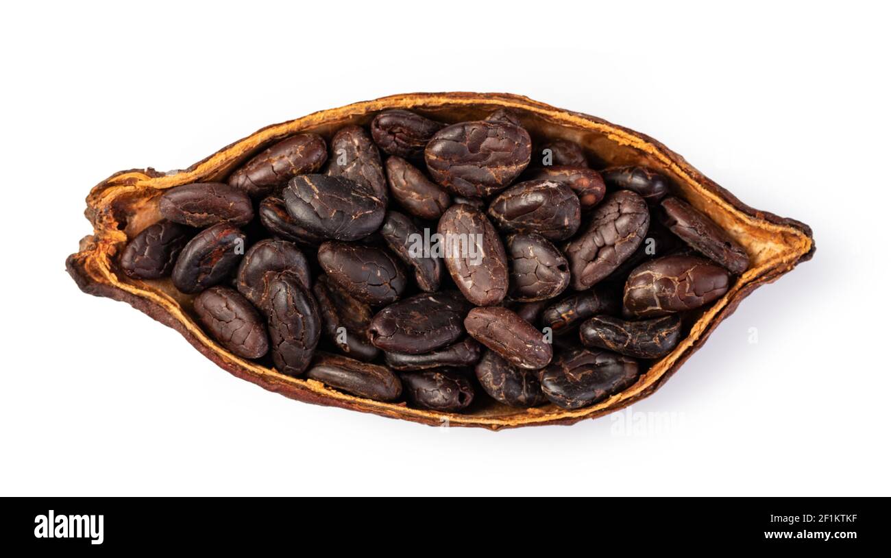 Open cocoa pod hi-res stock photography and images - Alamy