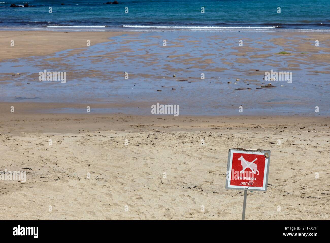 Dog ban on the beach in Spain Stock Photo - Alamy