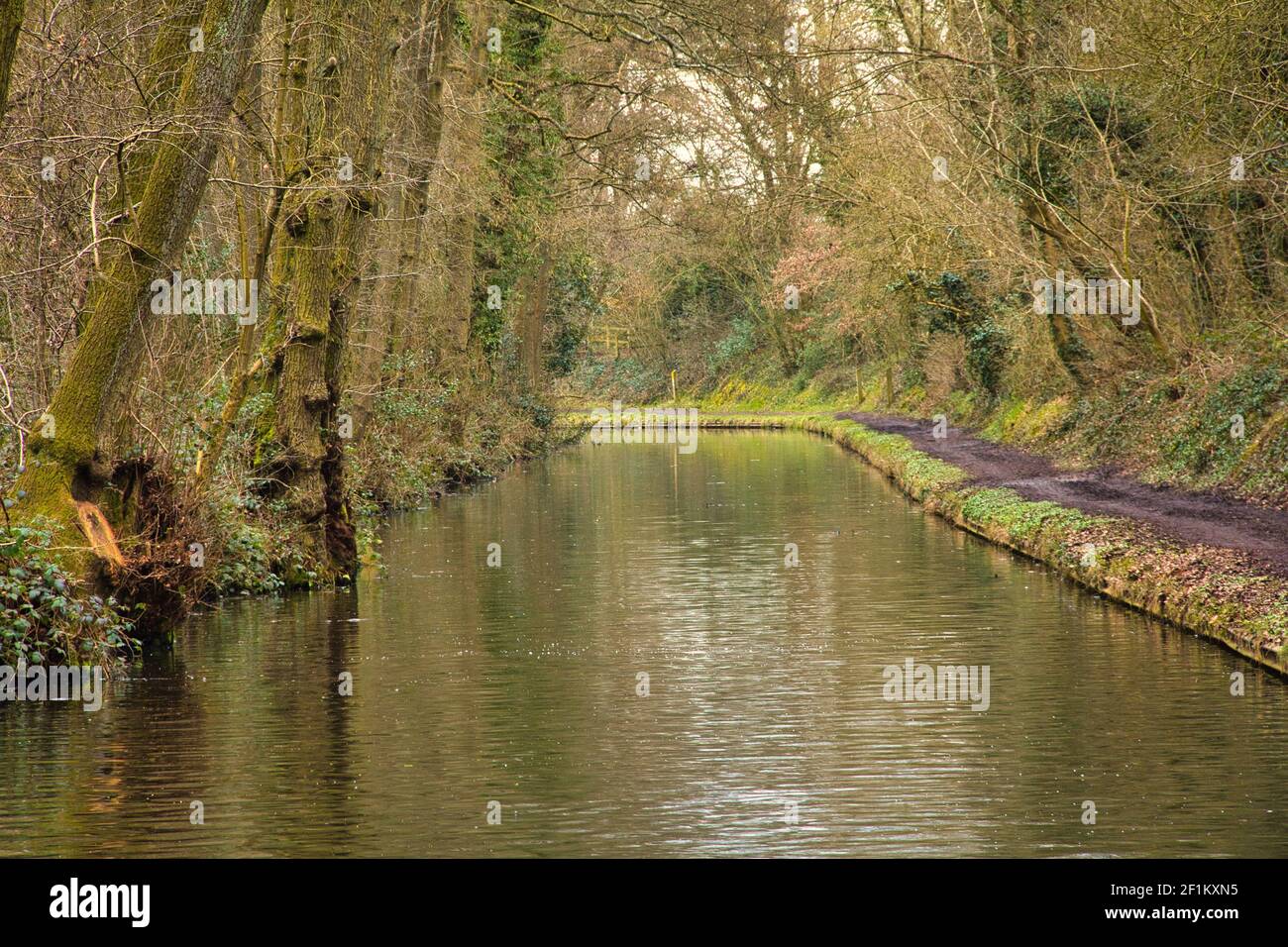 Straight canal hi-res stock photography and images - Alamy
