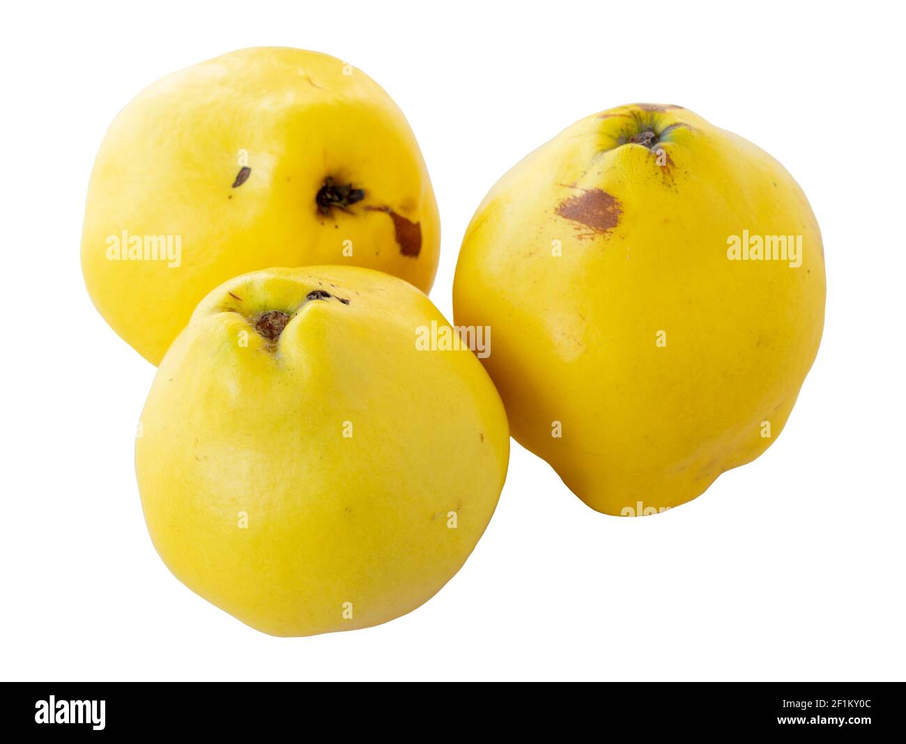 Quince isolated on white background Stock Photo - Alamy