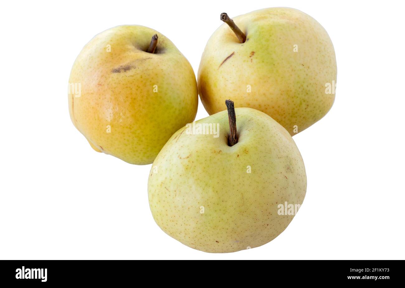 Pear isolated on white background. Local name deveci armut Stock Photo ...