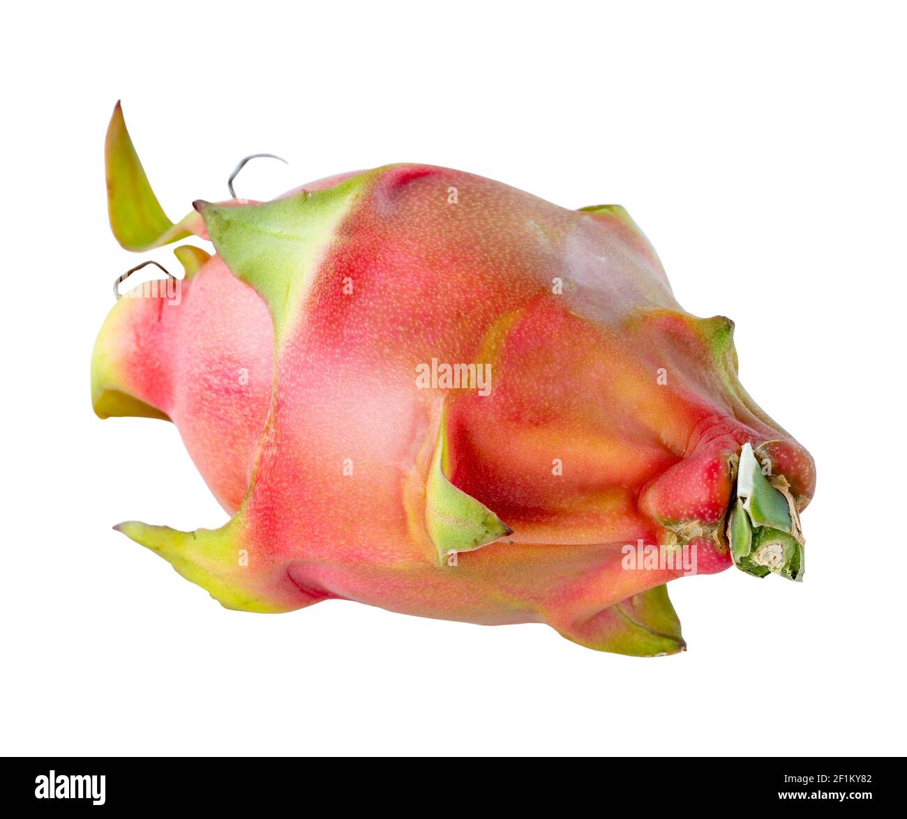 Pitaya isolated on white background Stock Photo - Alamy