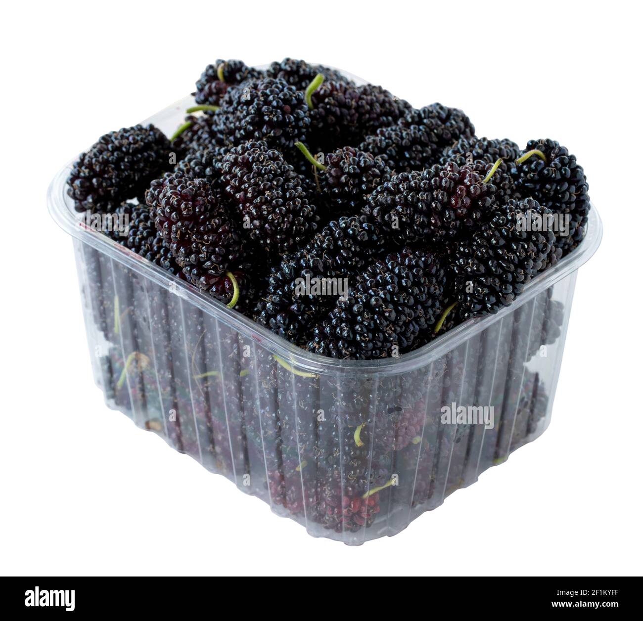 Black mulberry isolated on white background Stock Photo - Alamy