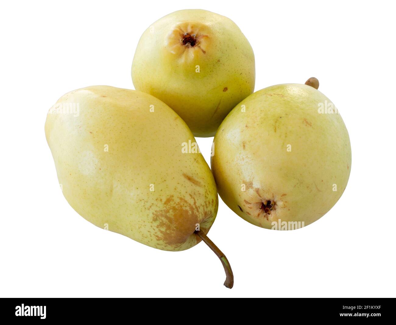 Big pear isolated on white background Stock Photo - Alamy
