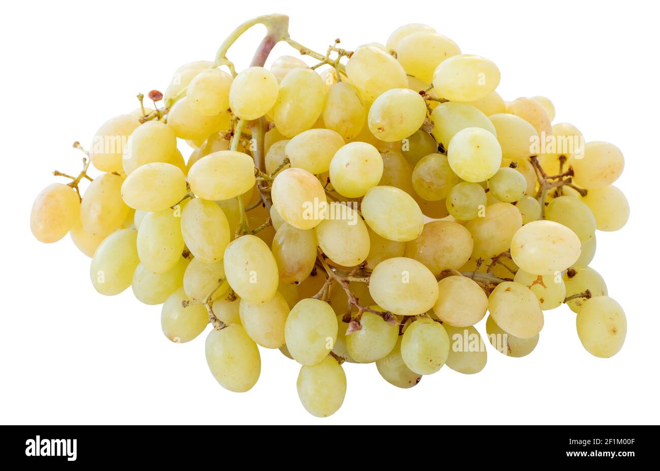 Yellow grapes isolated on white background Stock Photo - Alamy