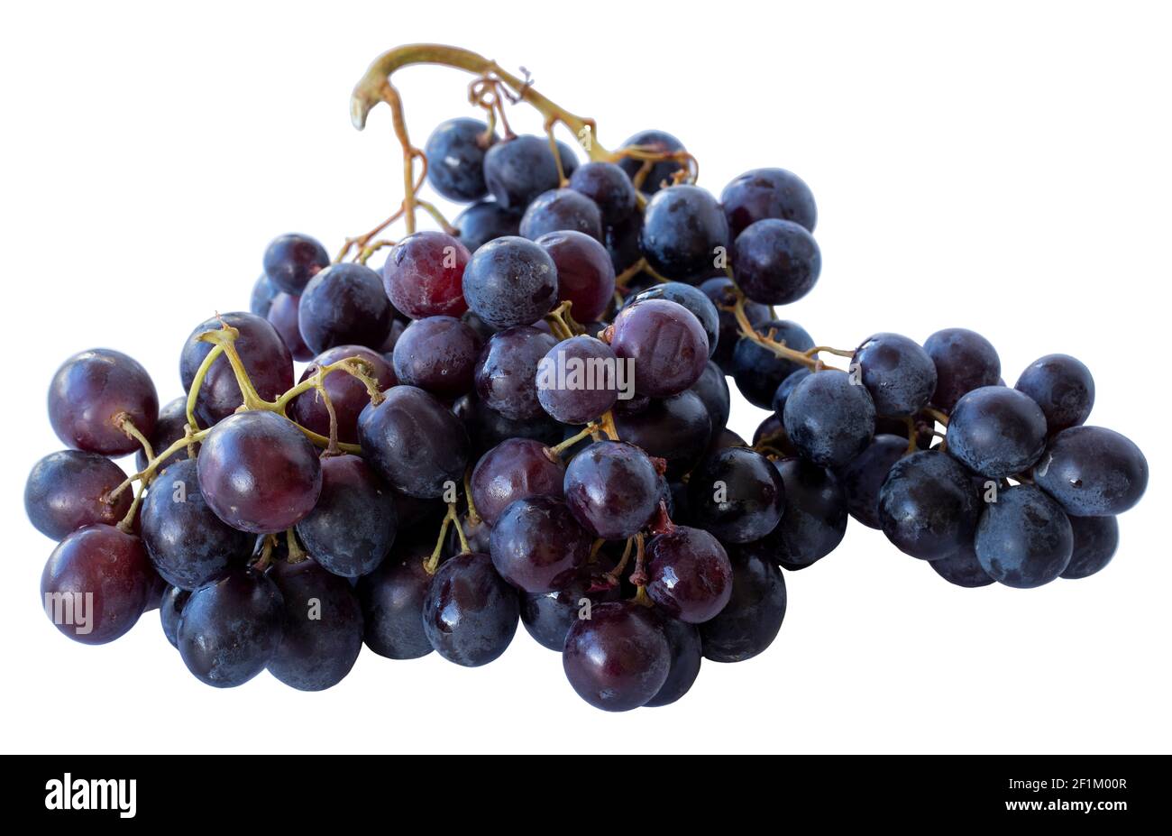 Ripe black grapes close hi-res stock photography and images - Alamy