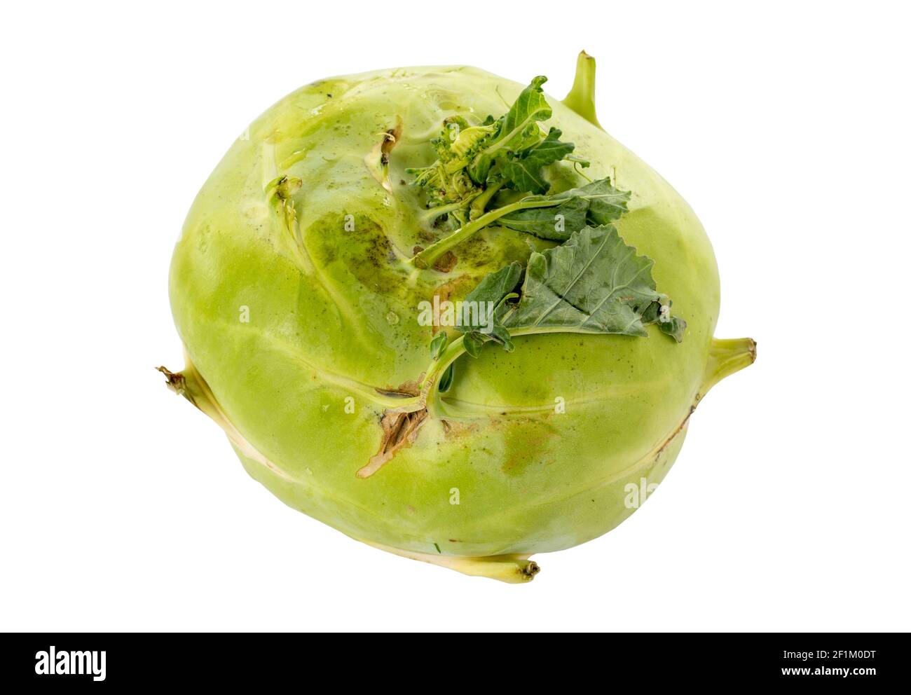 green radish isolated on white background Stock Photo - Alamy