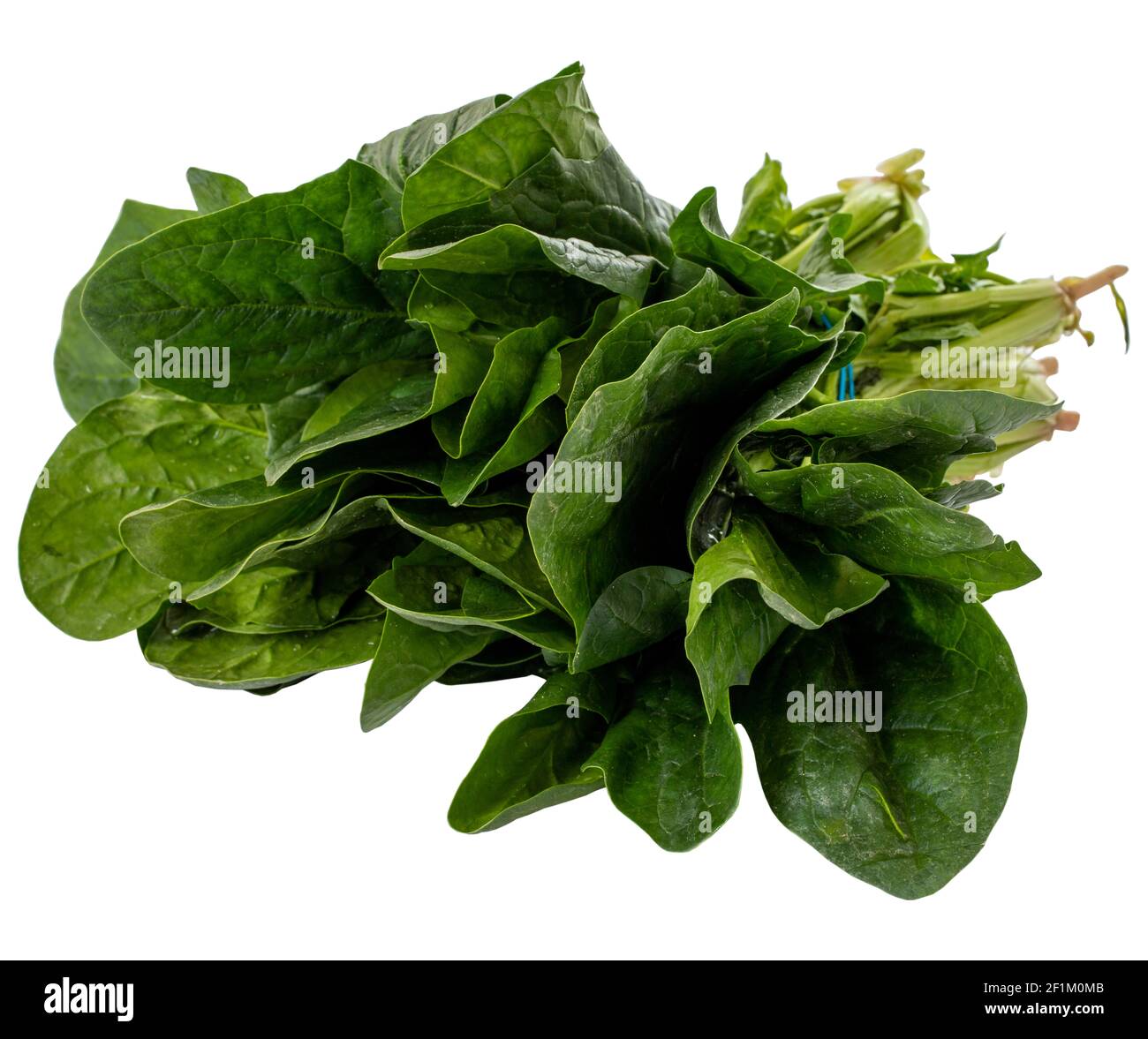 Spinach isolated on a white background Stock Photo - Alamy
